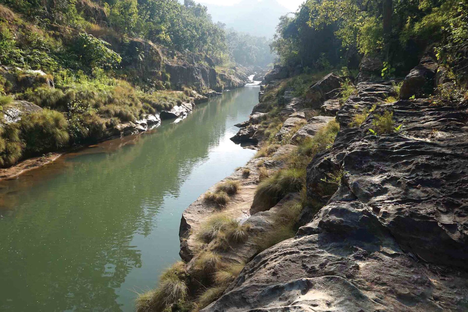 India excels in environment governance - Gfiles India